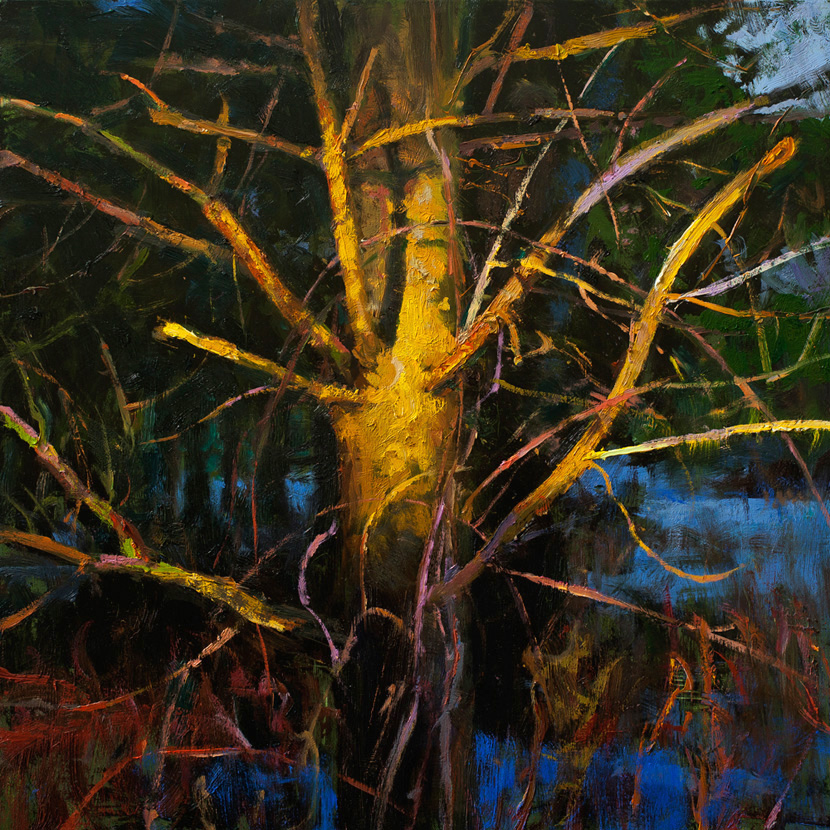 Peter Fiore - Landscape Paintings