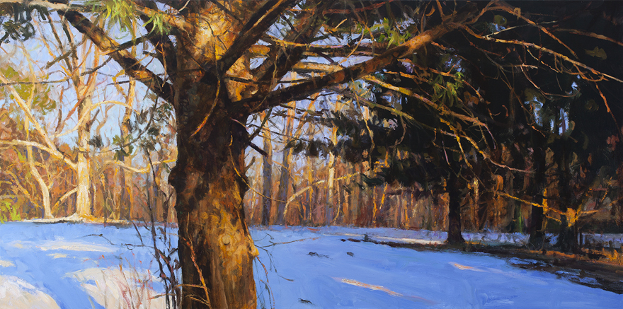 Peter Fiore - Landscape Paintings