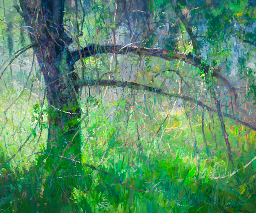 Peter Fiore - Landscape Paintings